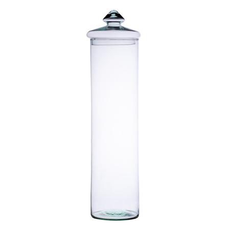 Glass cylinder vase+lid H:50cm D:14cm | Terrarium kits \ Terrarium glass