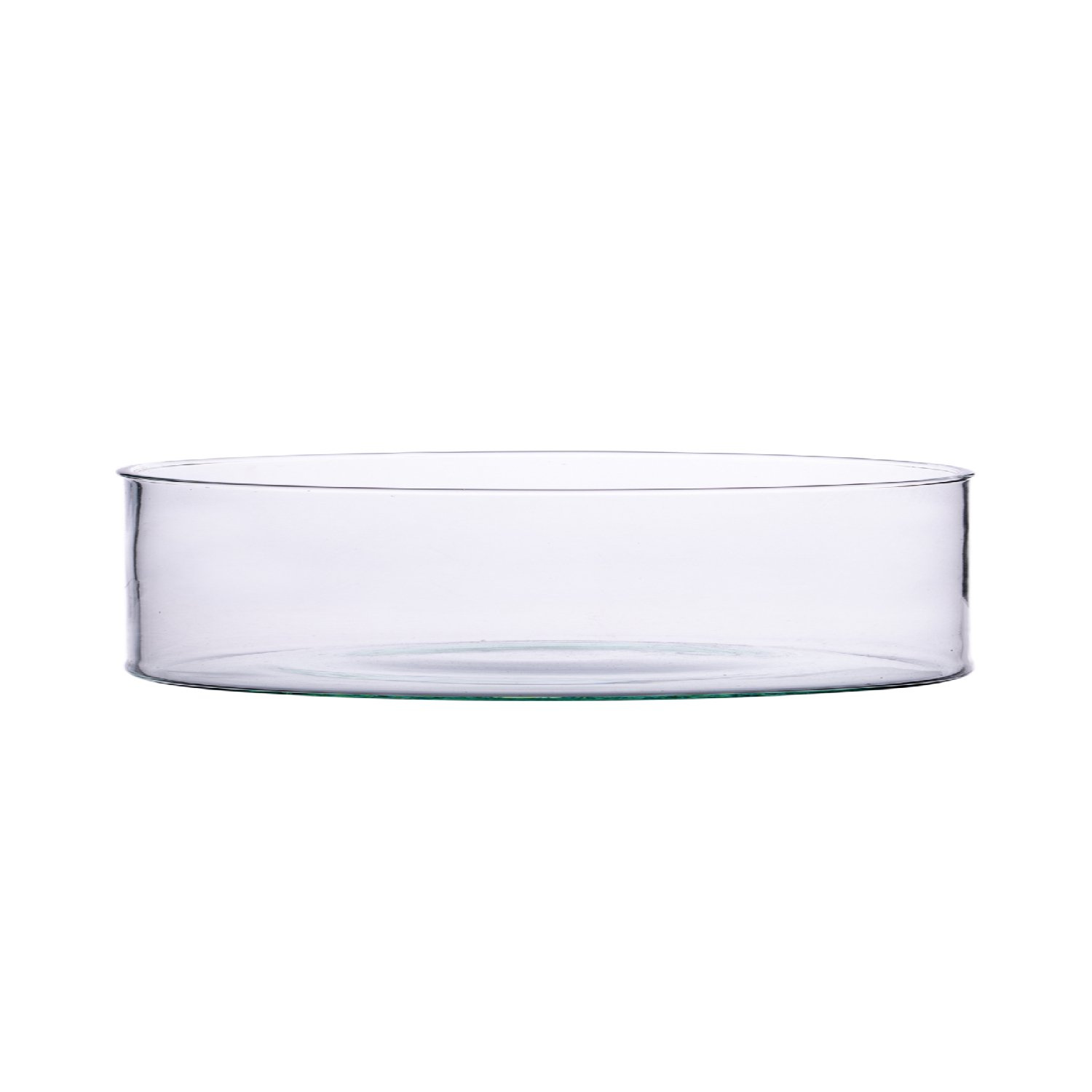 Glass cylinder bowl H:5cm D:22cm | Vases \ Cylinder vases Household ...